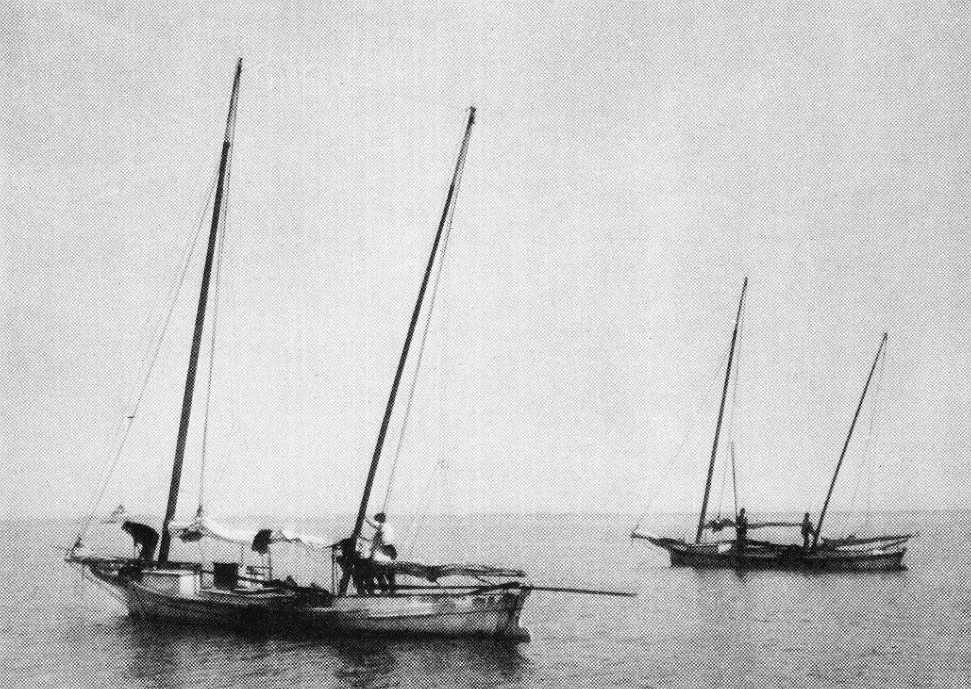 CHESAPEAKE BAY BROGANS - Parker Marine Enterprises